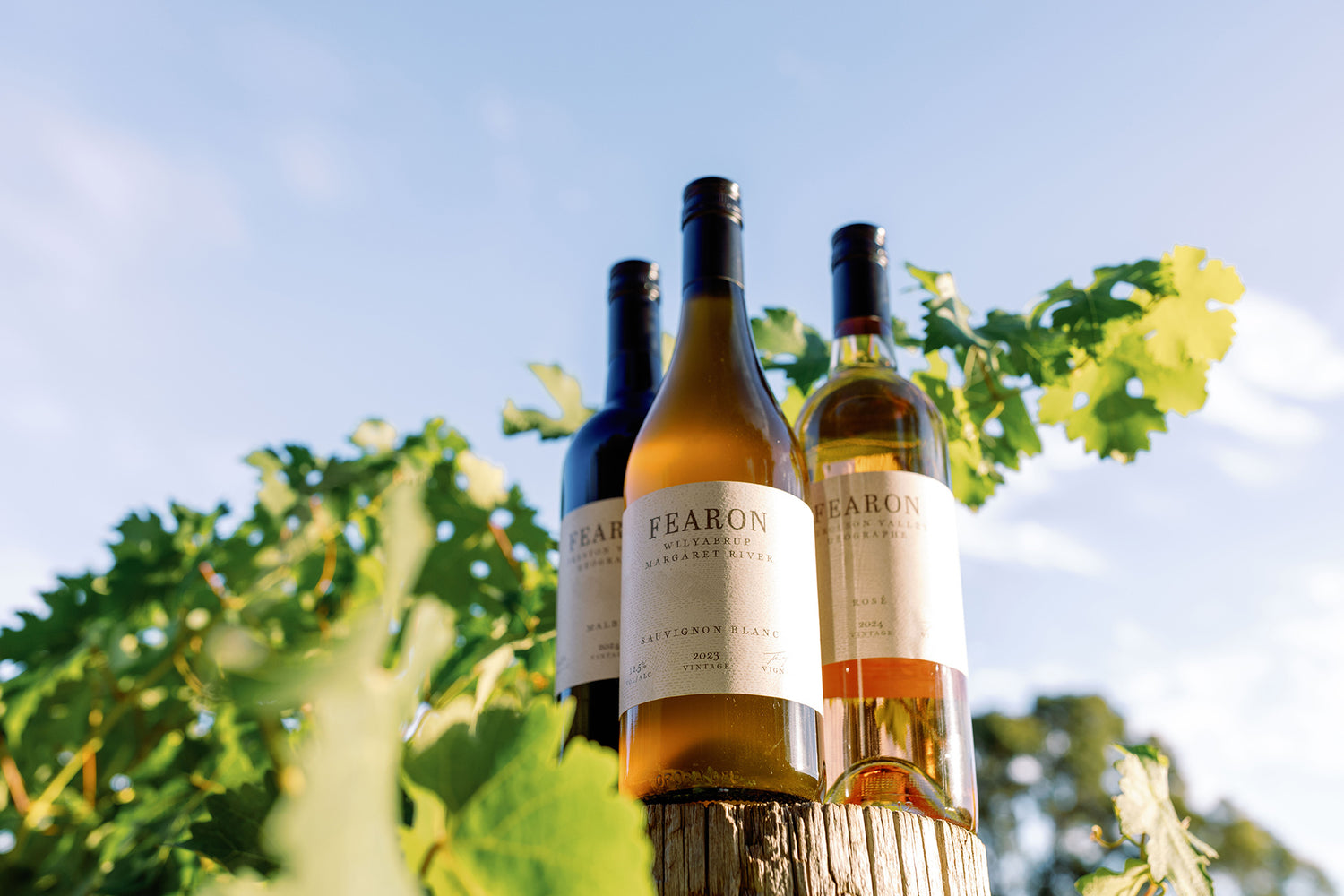 Fearon Wine