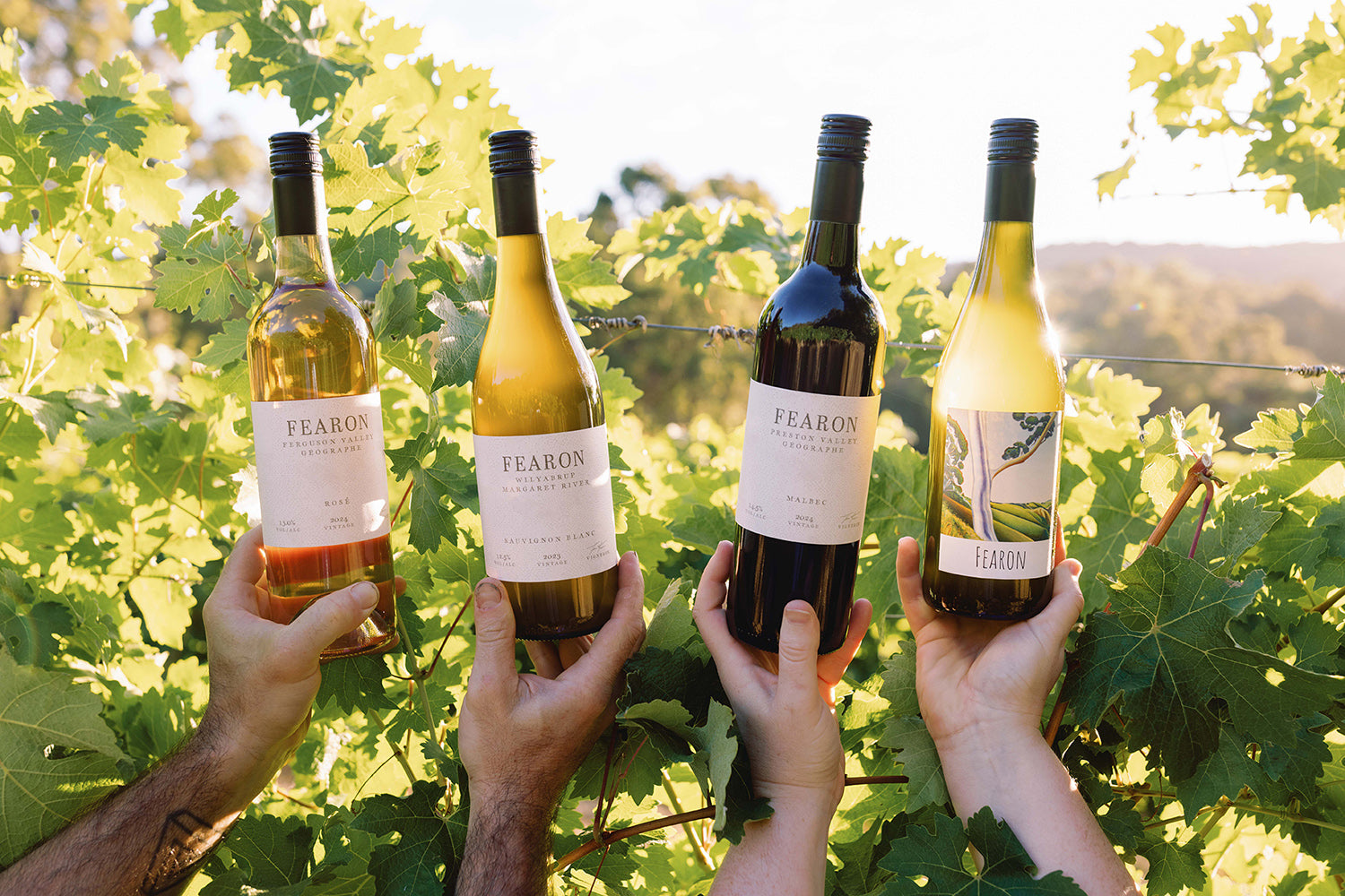 Fearon Wine